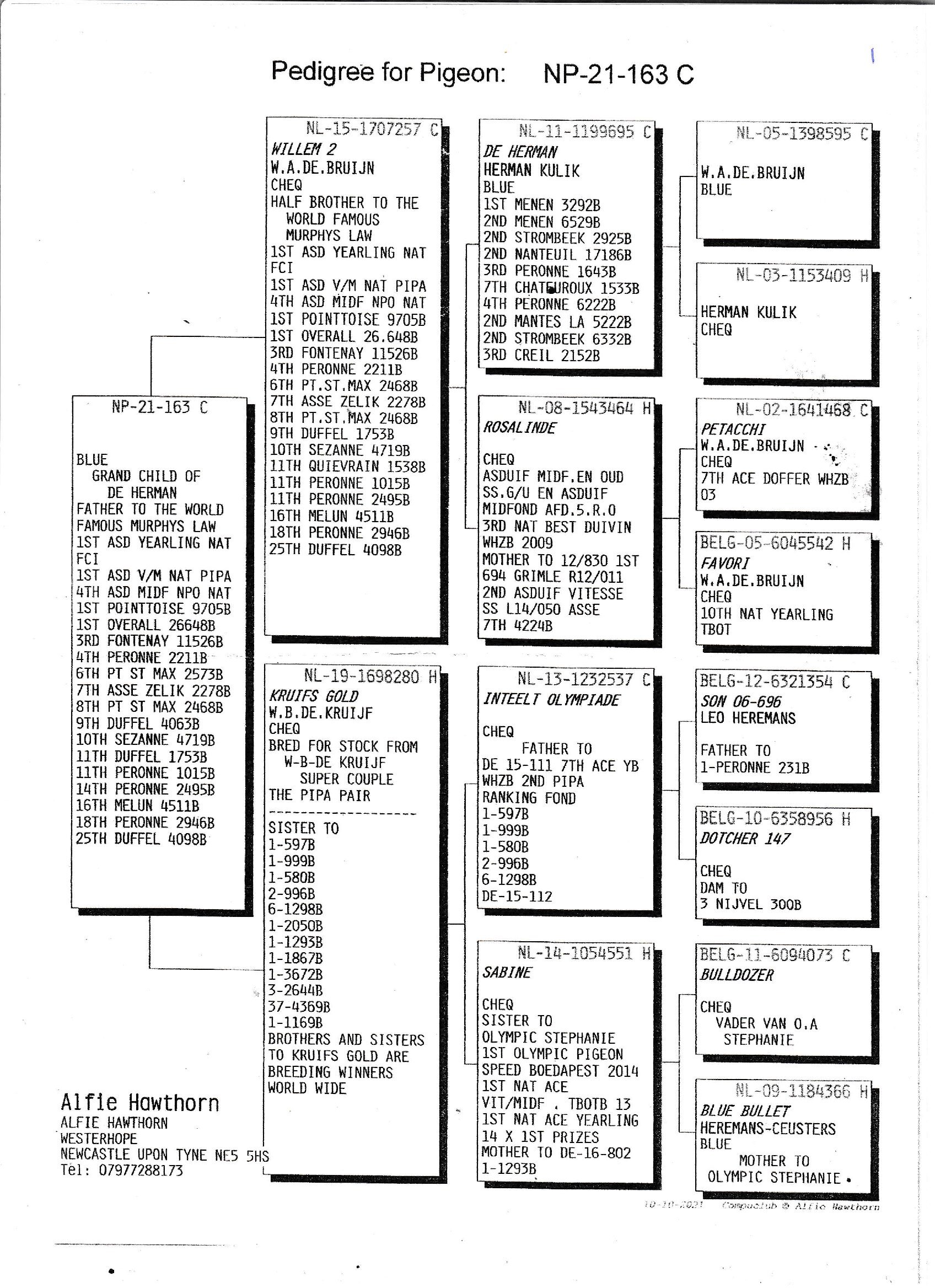21 NP 163 - Northern Premier Online Auctions