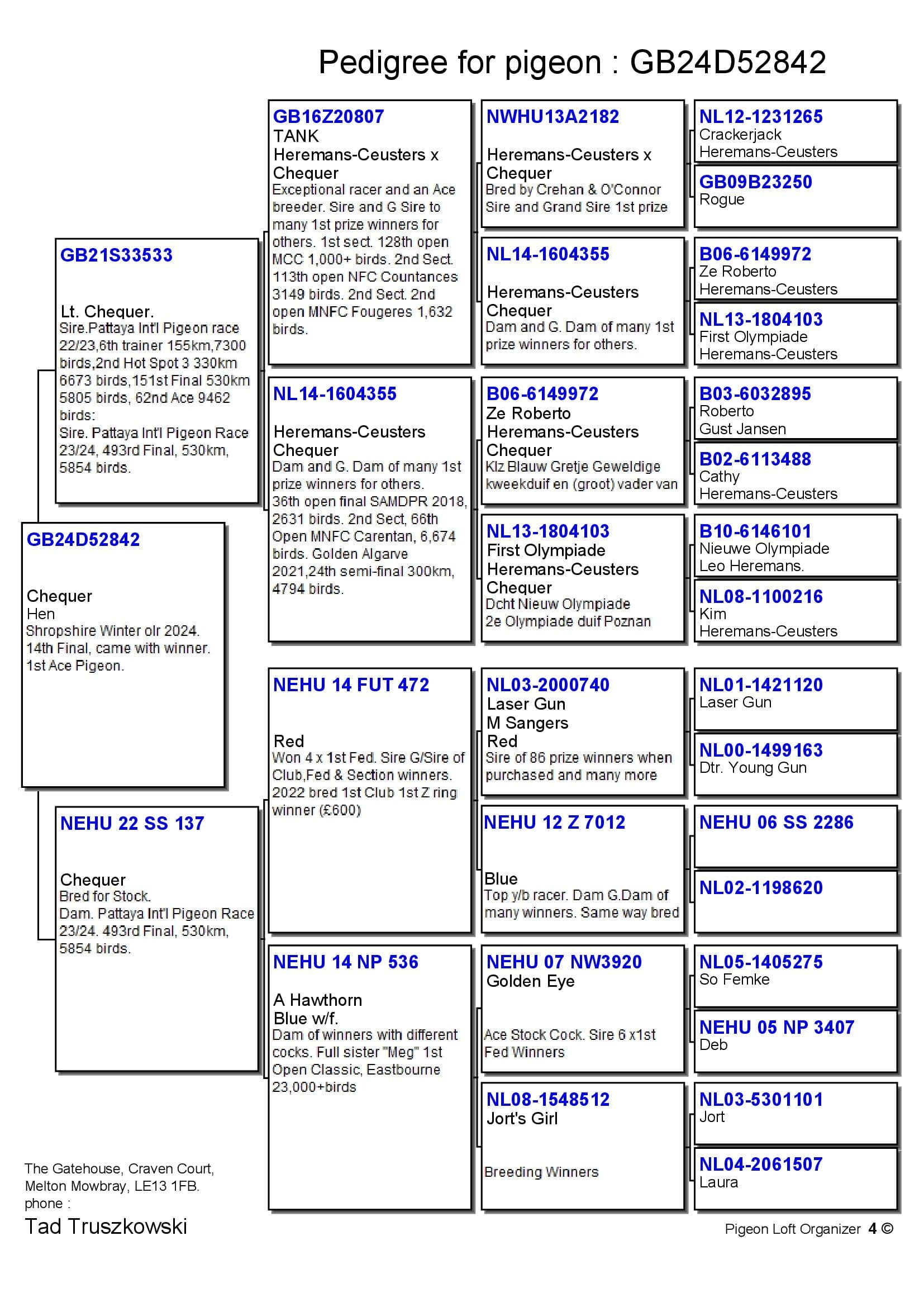 Northern Premier Online Auctions - Racing Pigeons Online