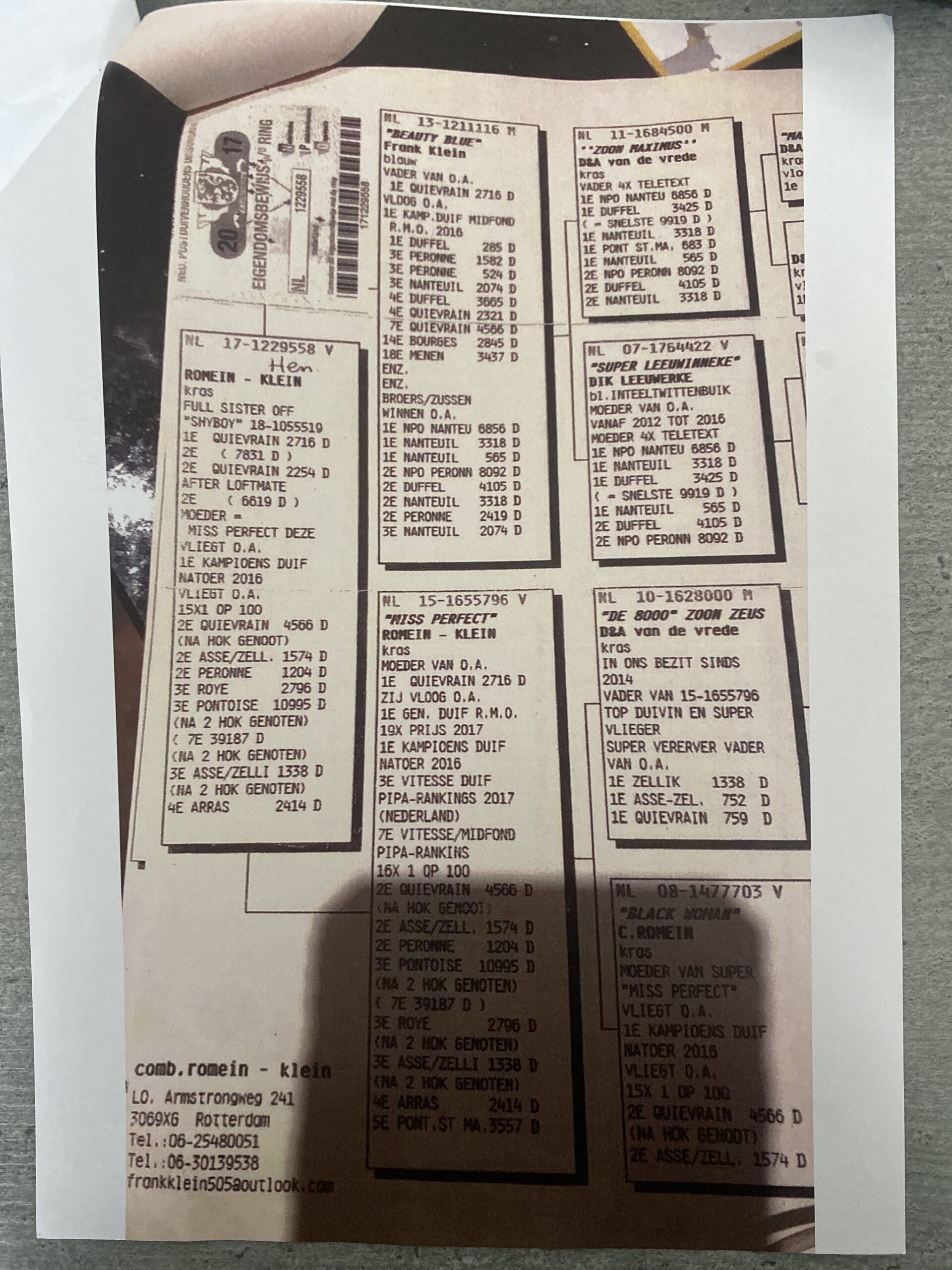 GB 23 D34364 - Northern Premier Online Auctions