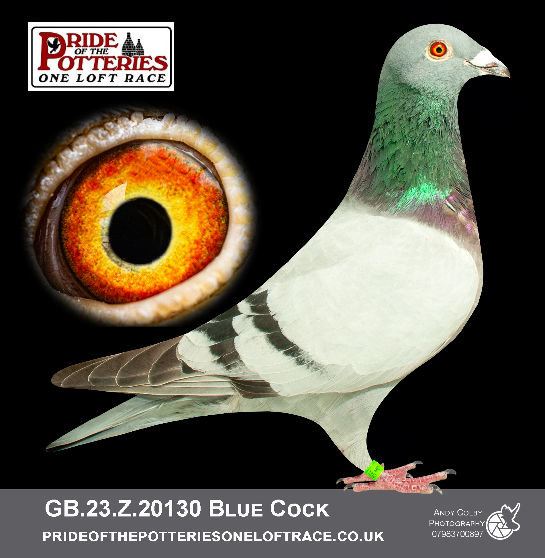 GB 23 Z20130 - Northern Premier Online Auctions