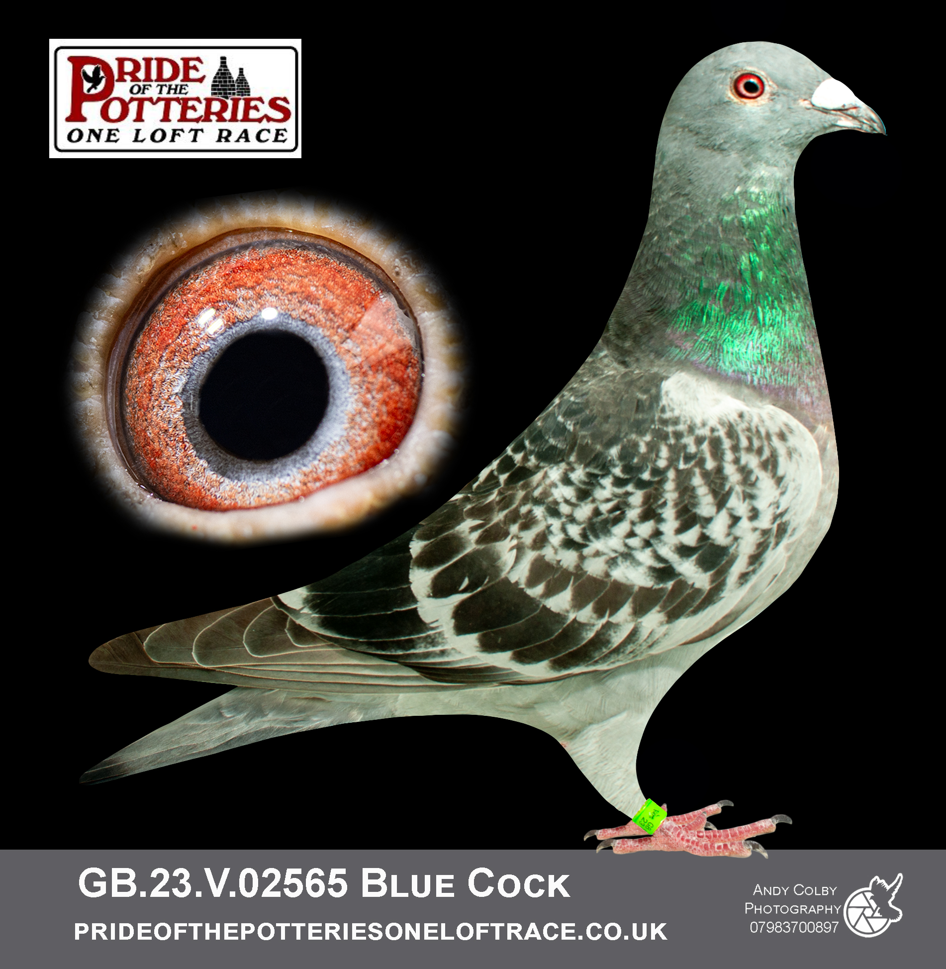 GB 23 V02565 - Northern Premier Online Auctions