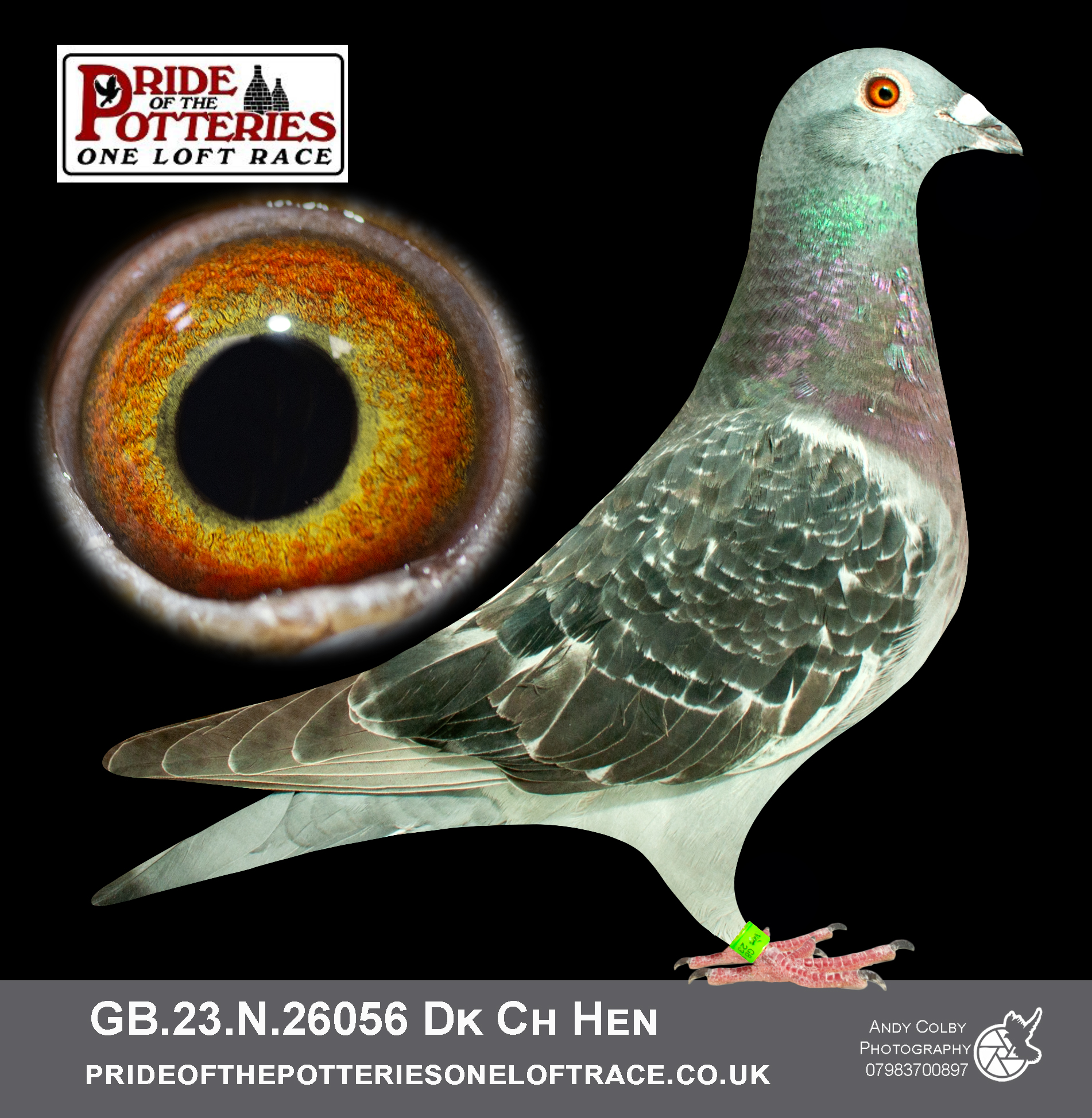GB 23 N26056 - Northern Premier Online Auctions