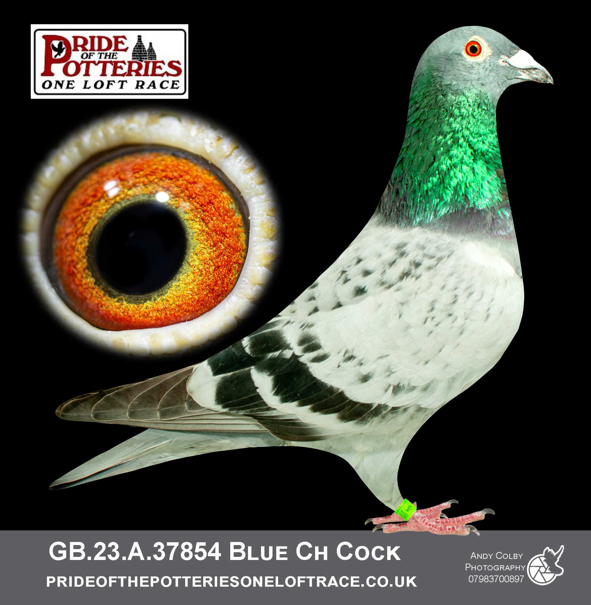 GB 23 A37854 - Northern Premier Online Auctions