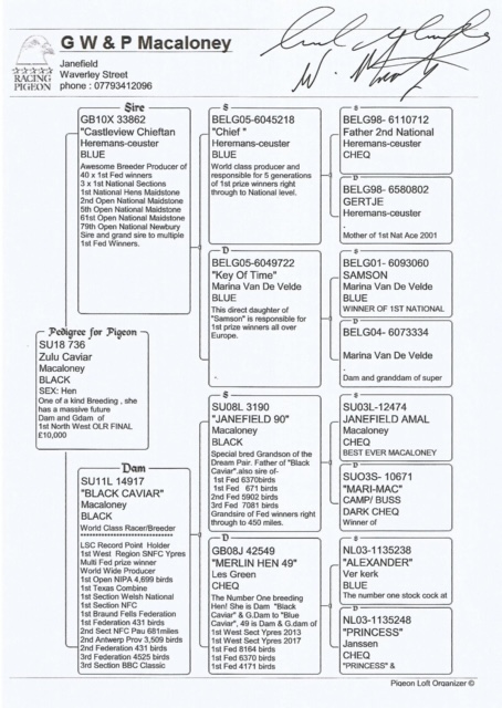 SU18 736 - Northern Premier Online Auctions
