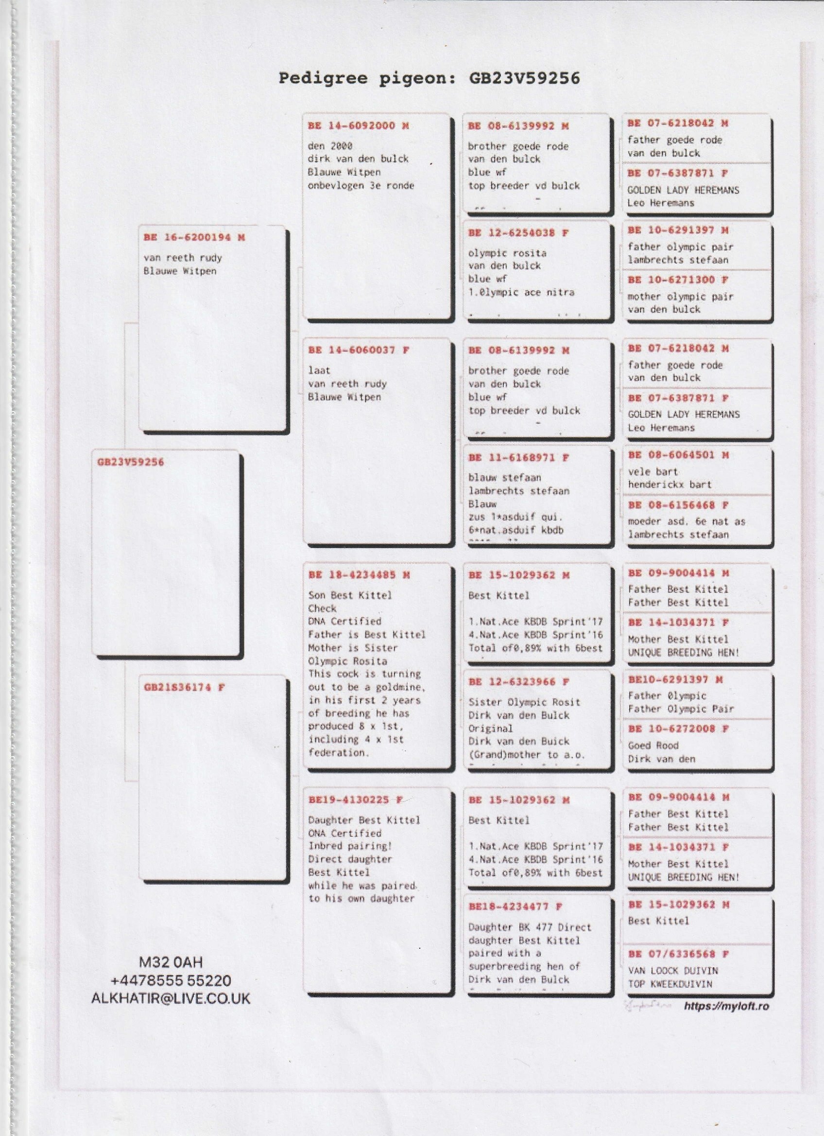 GB 23 V59256 - Northern Premier Online Auctions