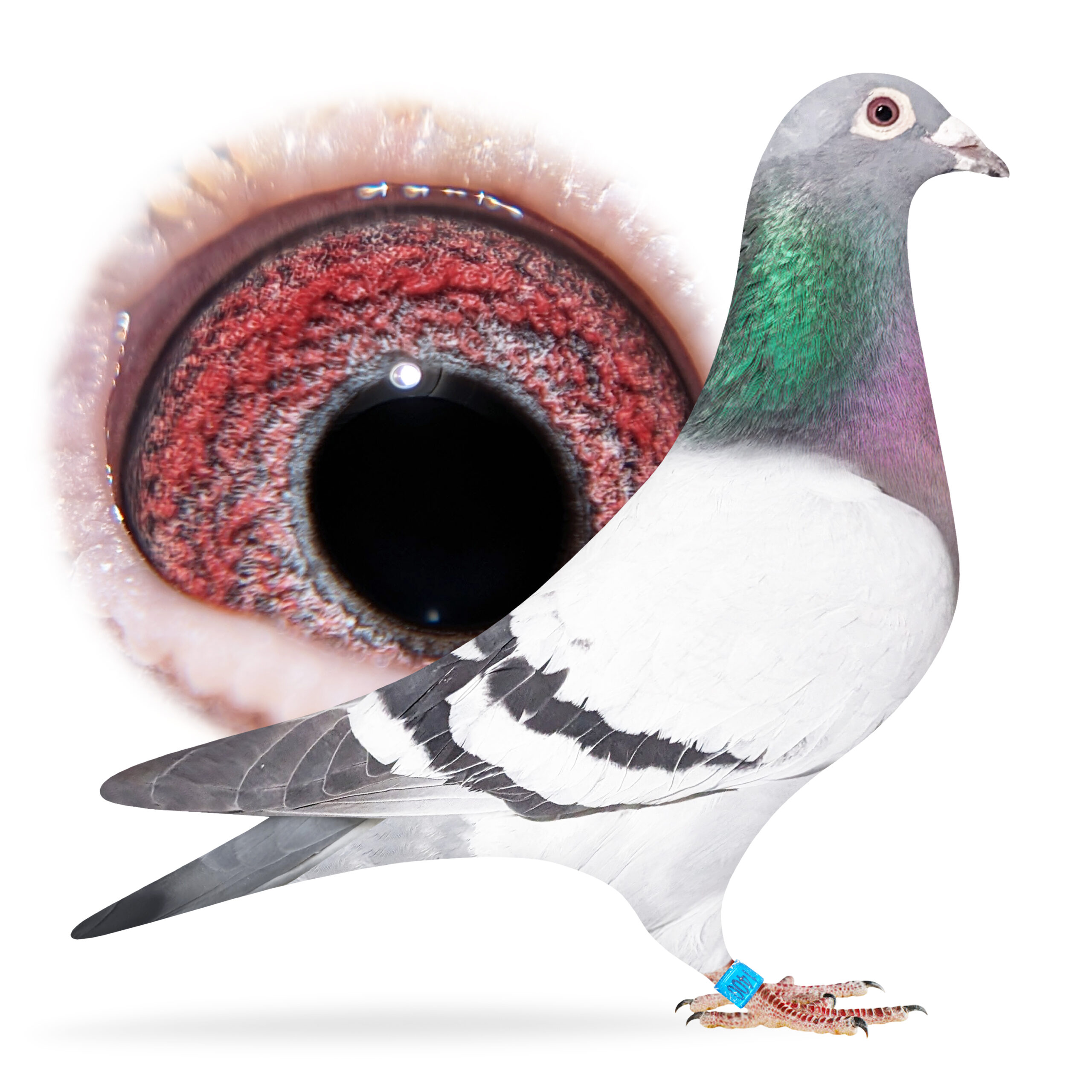 21 ST 1400 - Northern Premier Online Auctions