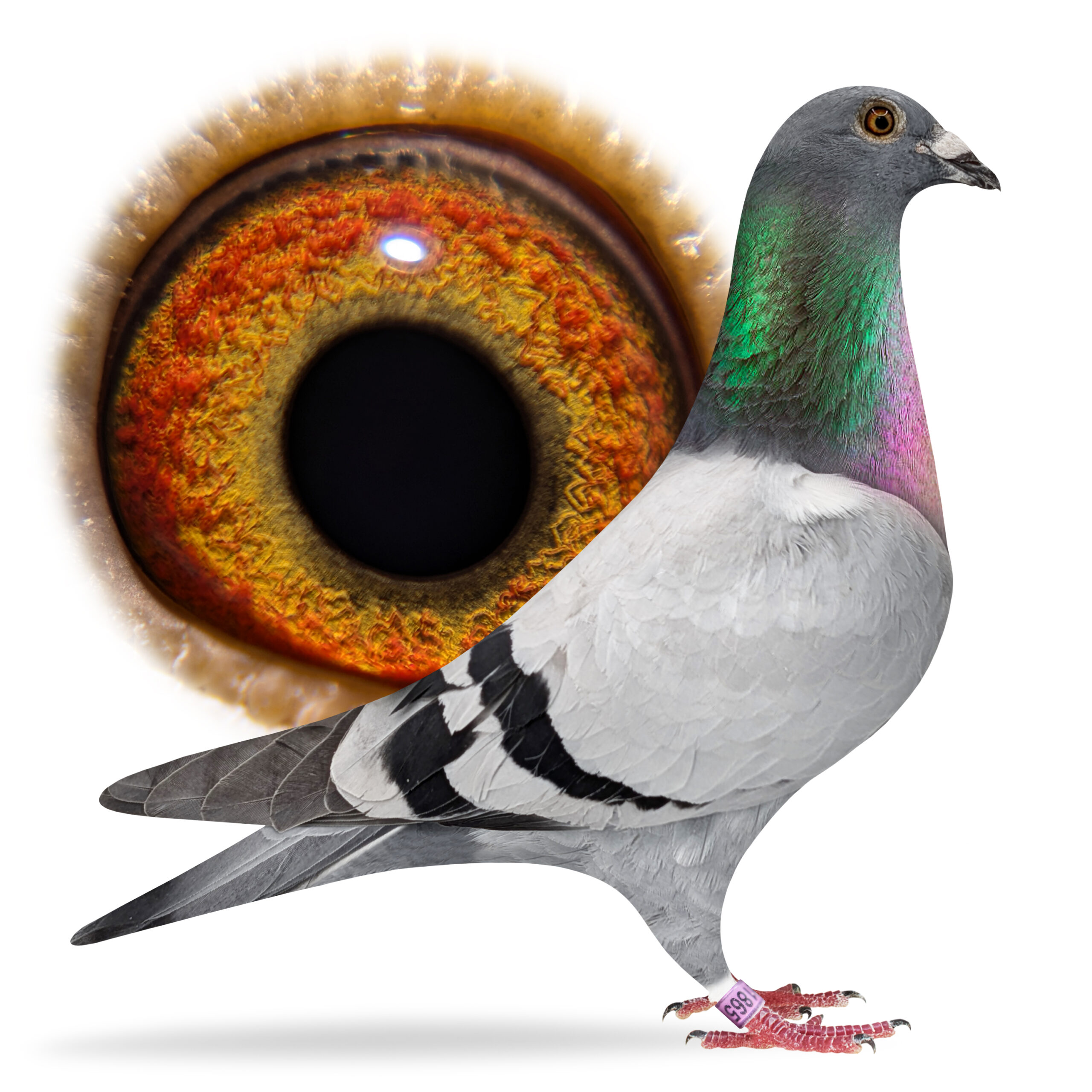 WHU2024 F31865 - Northern Premier Online Auctions