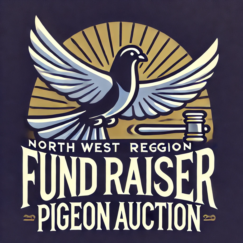 VERY SPECIAL OFFER - Northern Premier Online Auctions