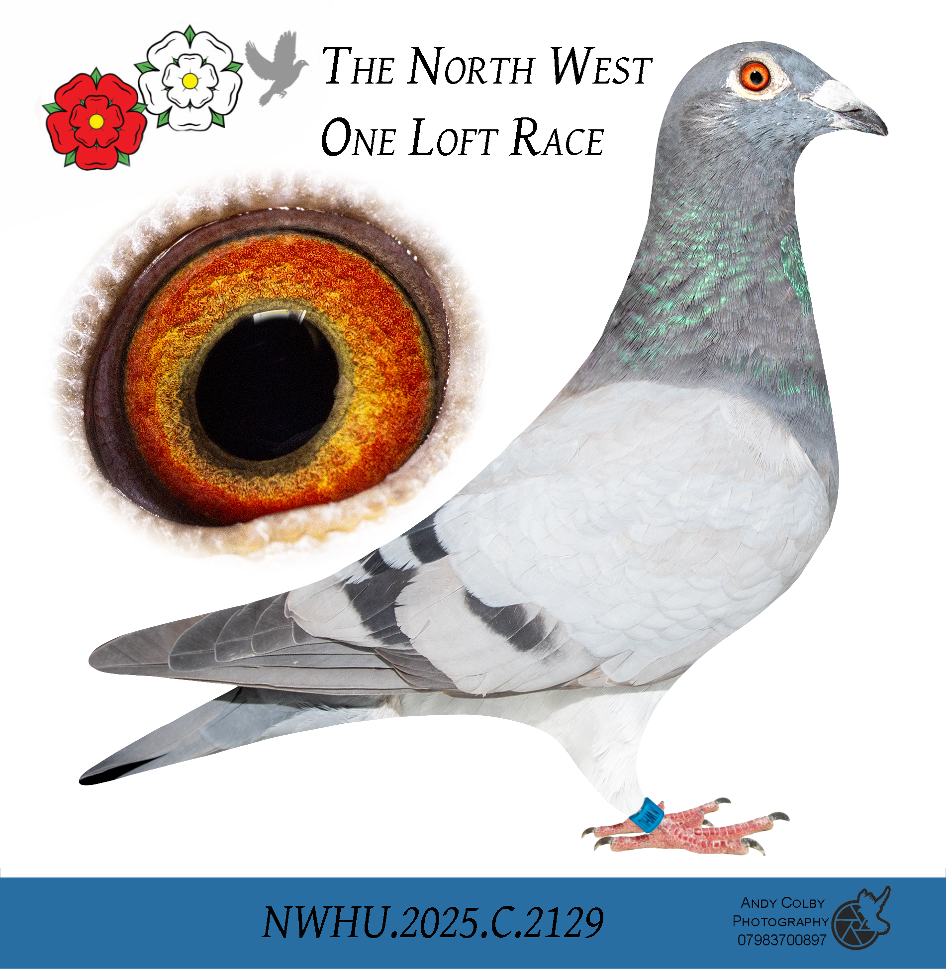 NWHU25C 2129 - Northern Premier Online Auctions