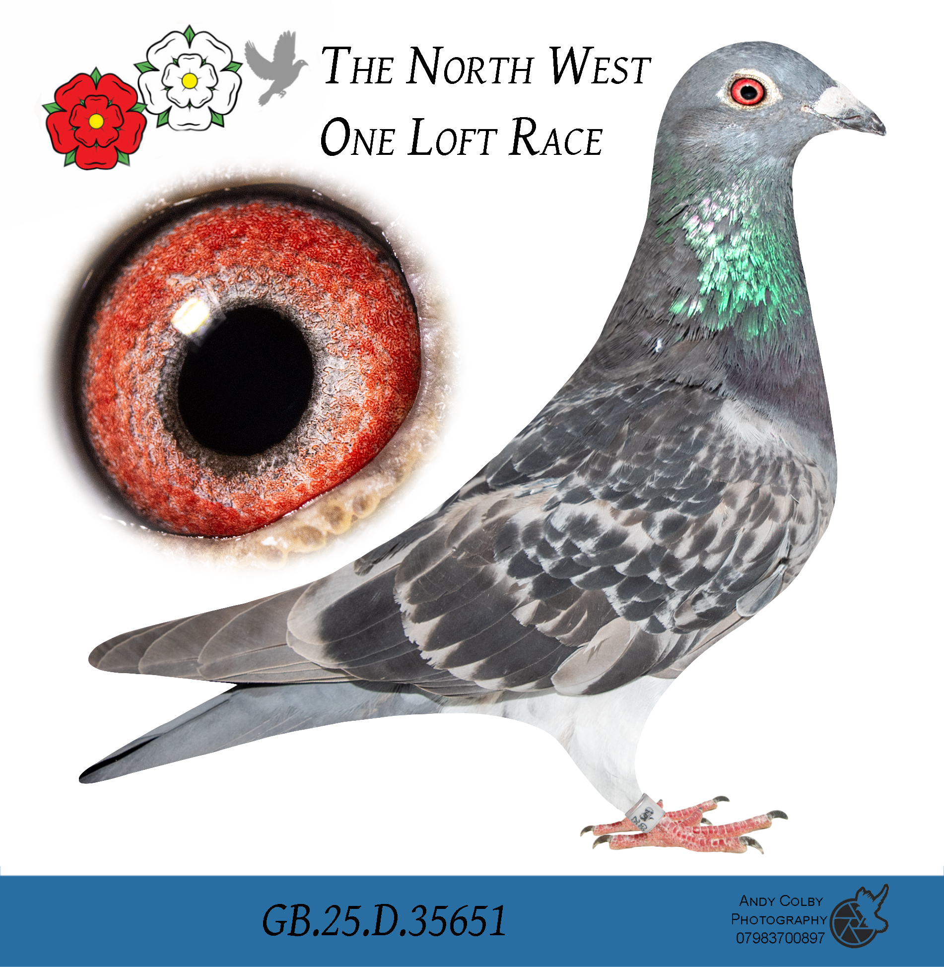 GB25D 35651 - Northern Premier Online Auctions